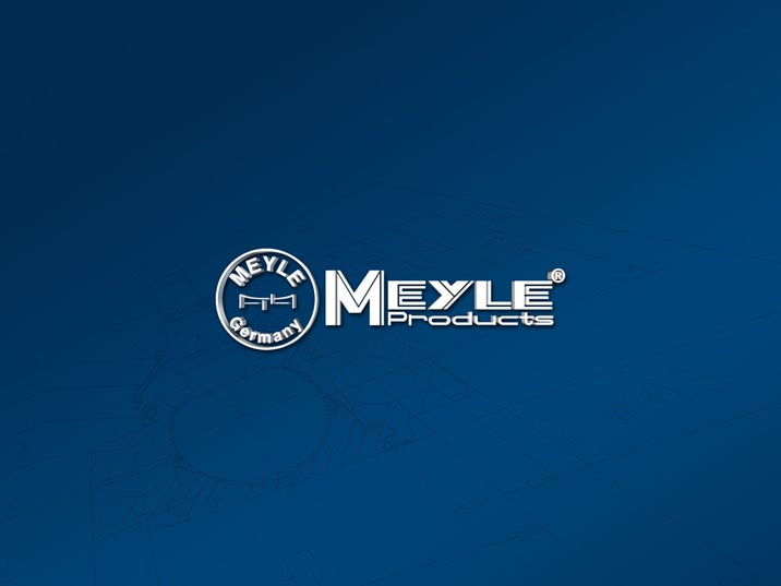 Jak rozpoznać uszkodzone łożysko silnika | autoEXPERT